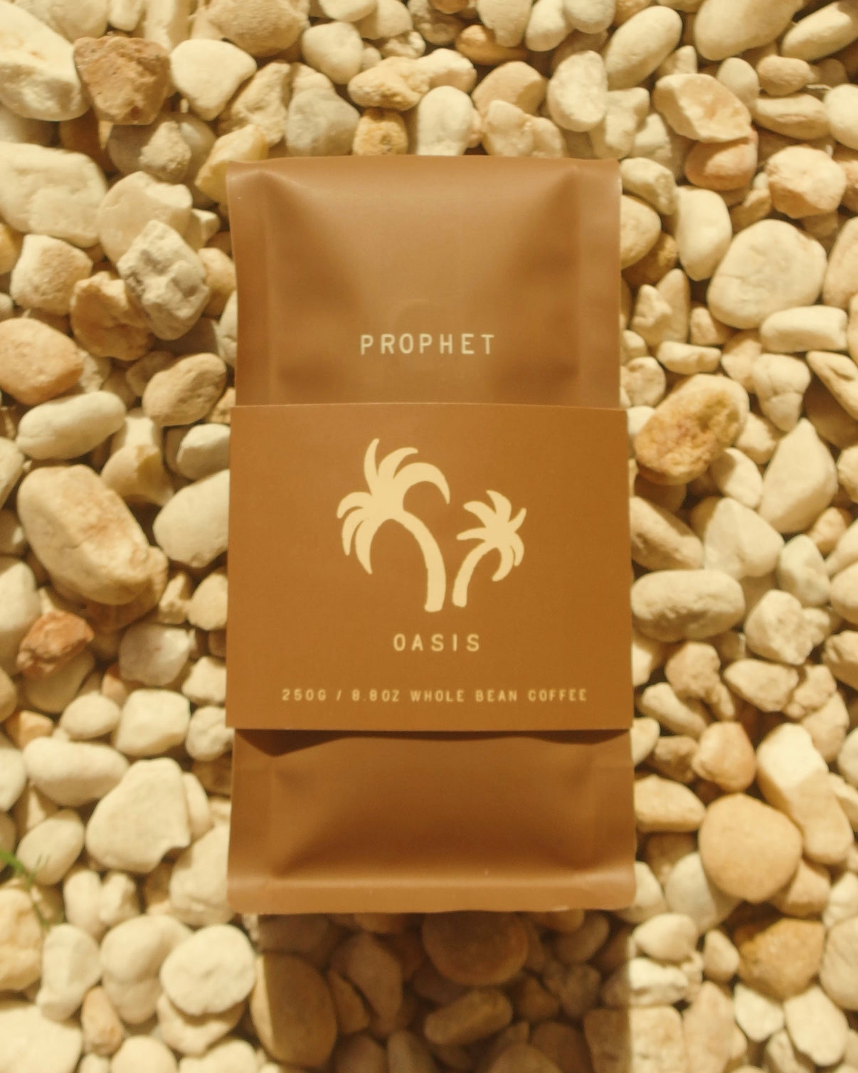 OASIS – PROPHET COFFEE